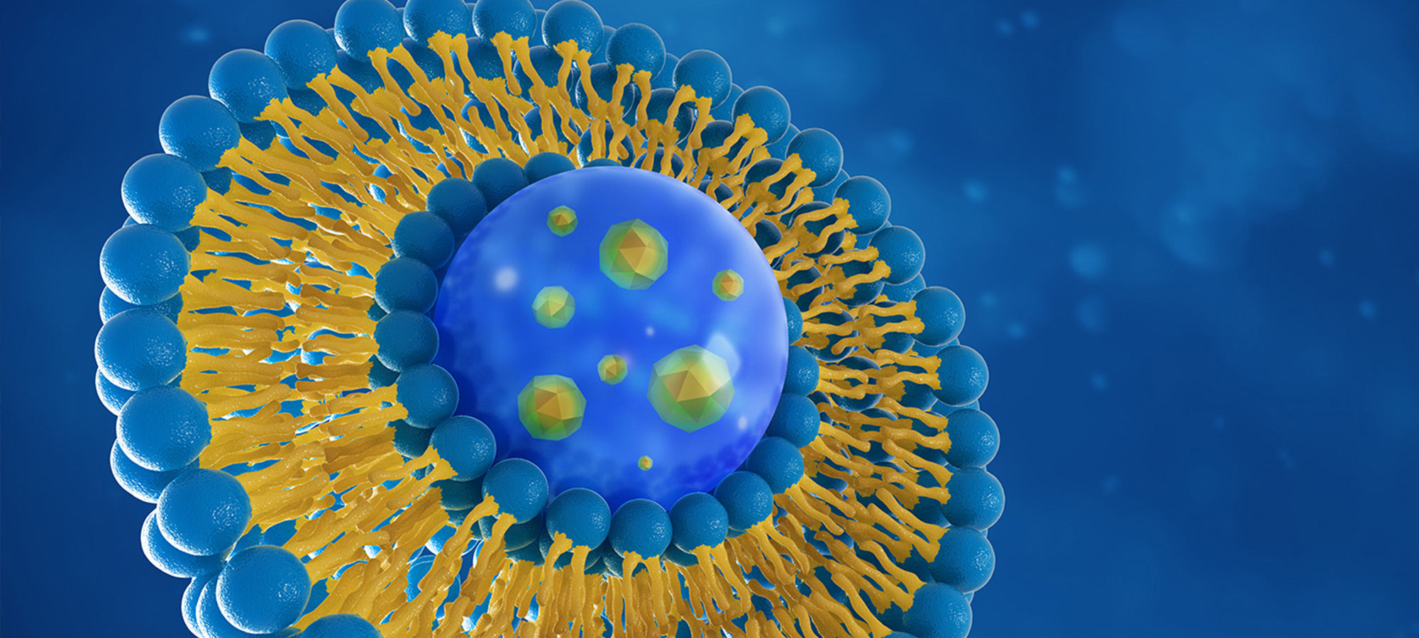 Next-Gen Health: How Liposomal Technology is Changing Supplement Absor ...